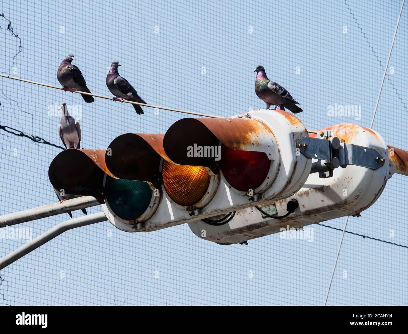 Signal control cables hi-res stock photography and images - Alamy