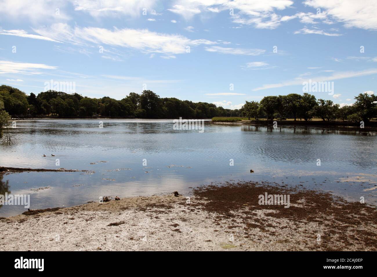 Beaulieu River viewed from Palace Lane, New Forest, Beaulieu, Hampshire ...