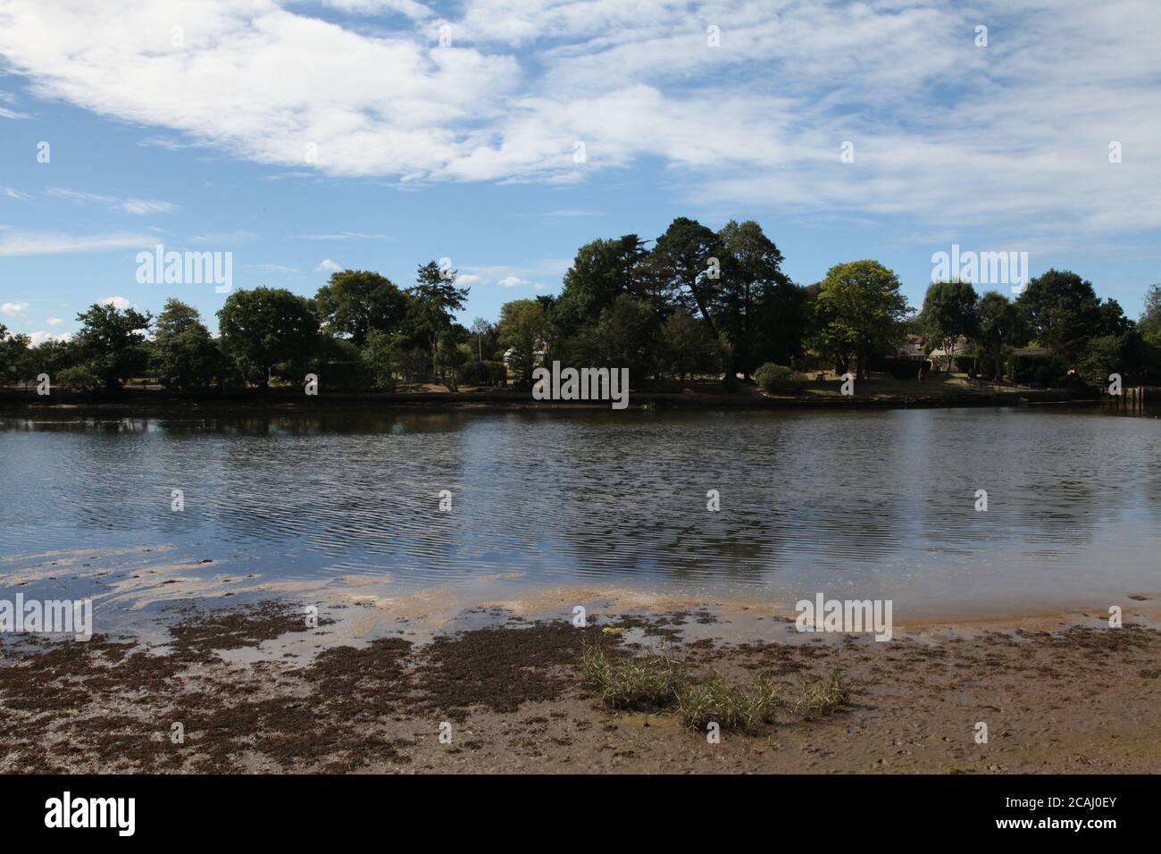 Beaulieu River viewed from Palace Lane, New Forest, Beaulieu, Hampshire ...