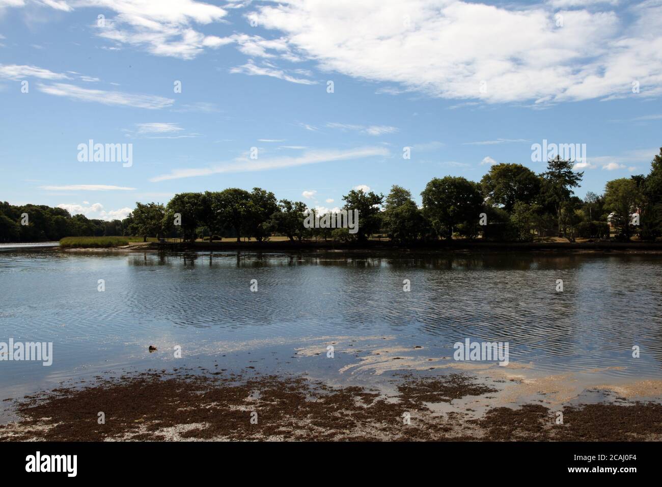 Beaulieu River viewed from Palace Lane, New Forest, Beaulieu, Hampshire ...