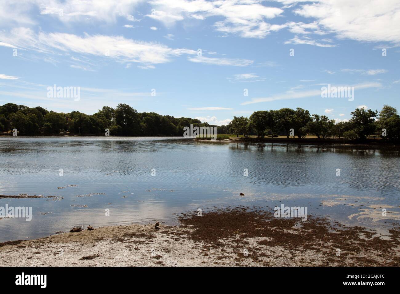 Beaulieu River viewed from Palace Lane, New Forest, Beaulieu, Hampshire ...