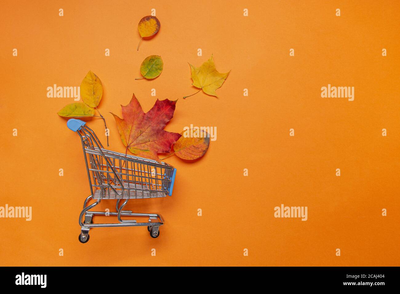 Grocery trolley hi-res stock photography and images - Alamy
