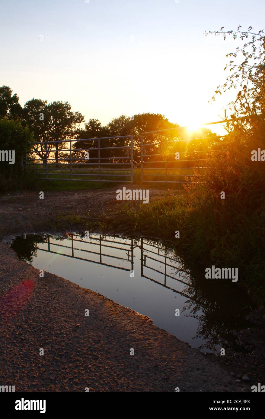 Sunset reflection in water Stock Photo - Alamy
