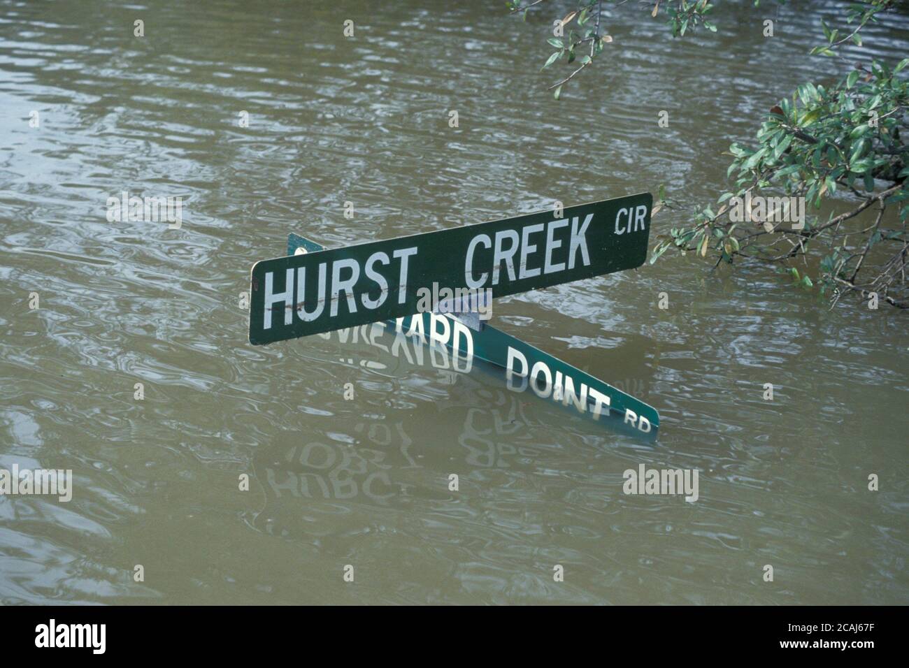 Lake Travis overflowed its banks into Graveyard Point to cause water to ...