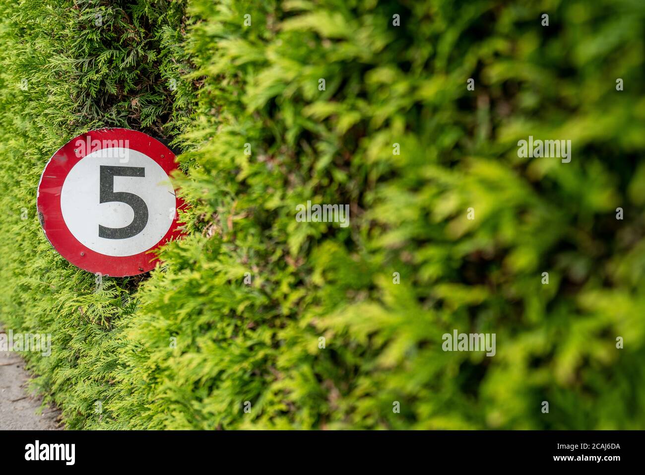 Circle warning traffic sign in green bushes Stock Photo - Alamy