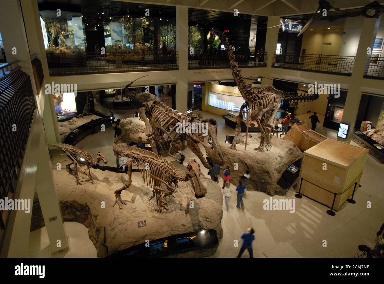The houston museum of natural science hi-res stock photography and ...