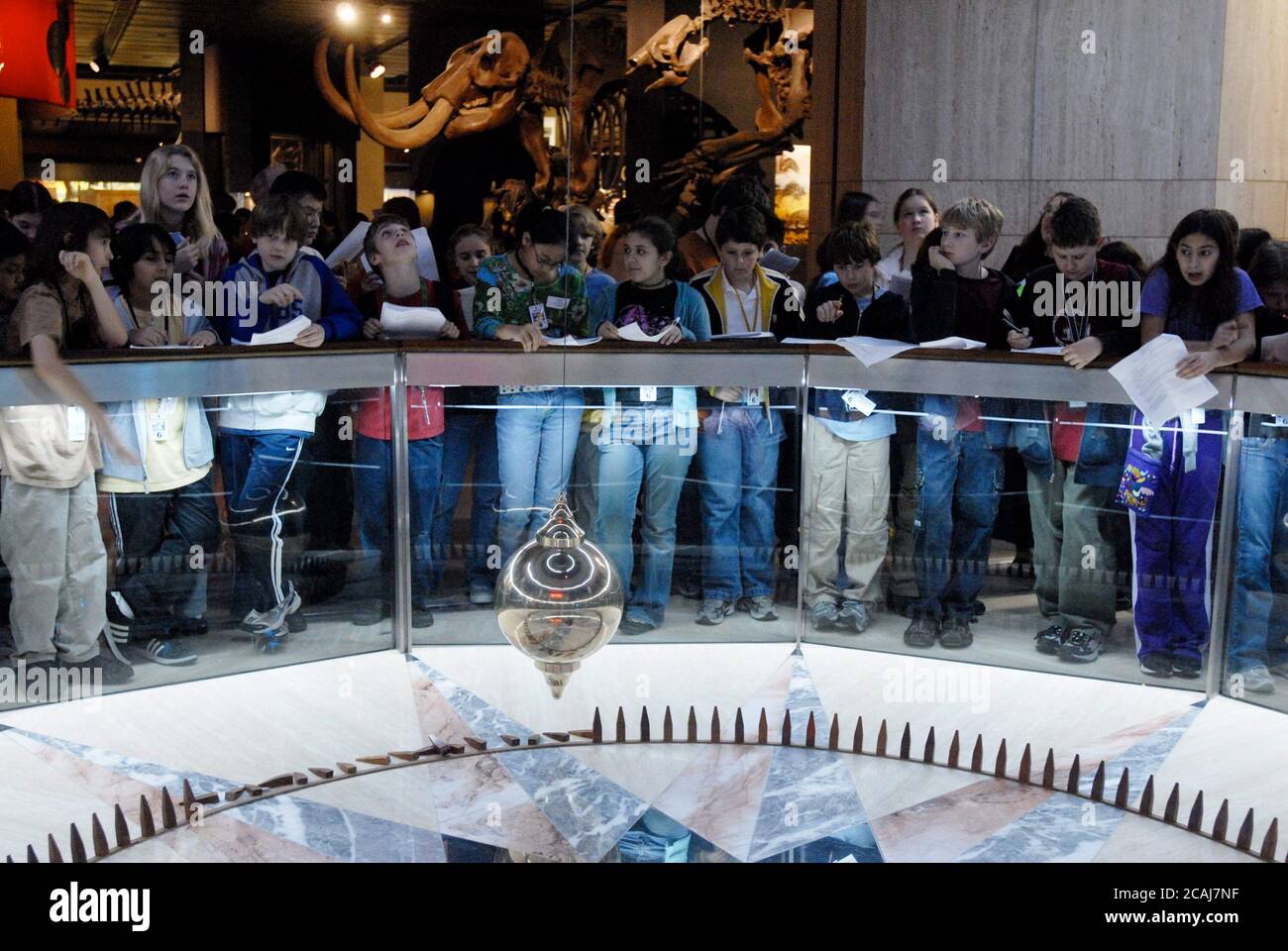 Houston natural history museum hi-res stock photography and images - Alamy