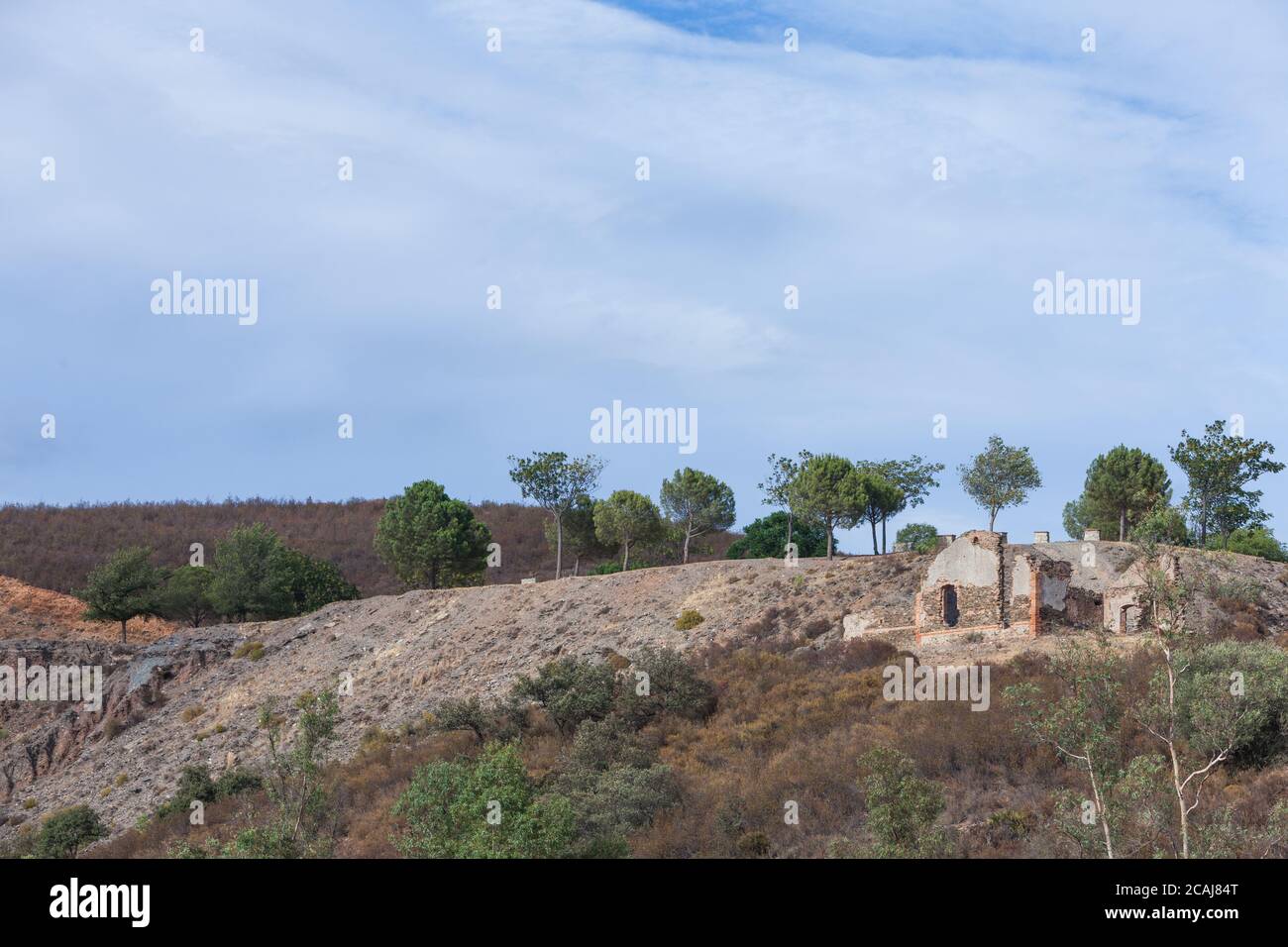 Rock brick wall shrubs hi-res stock photography and images - Alamy