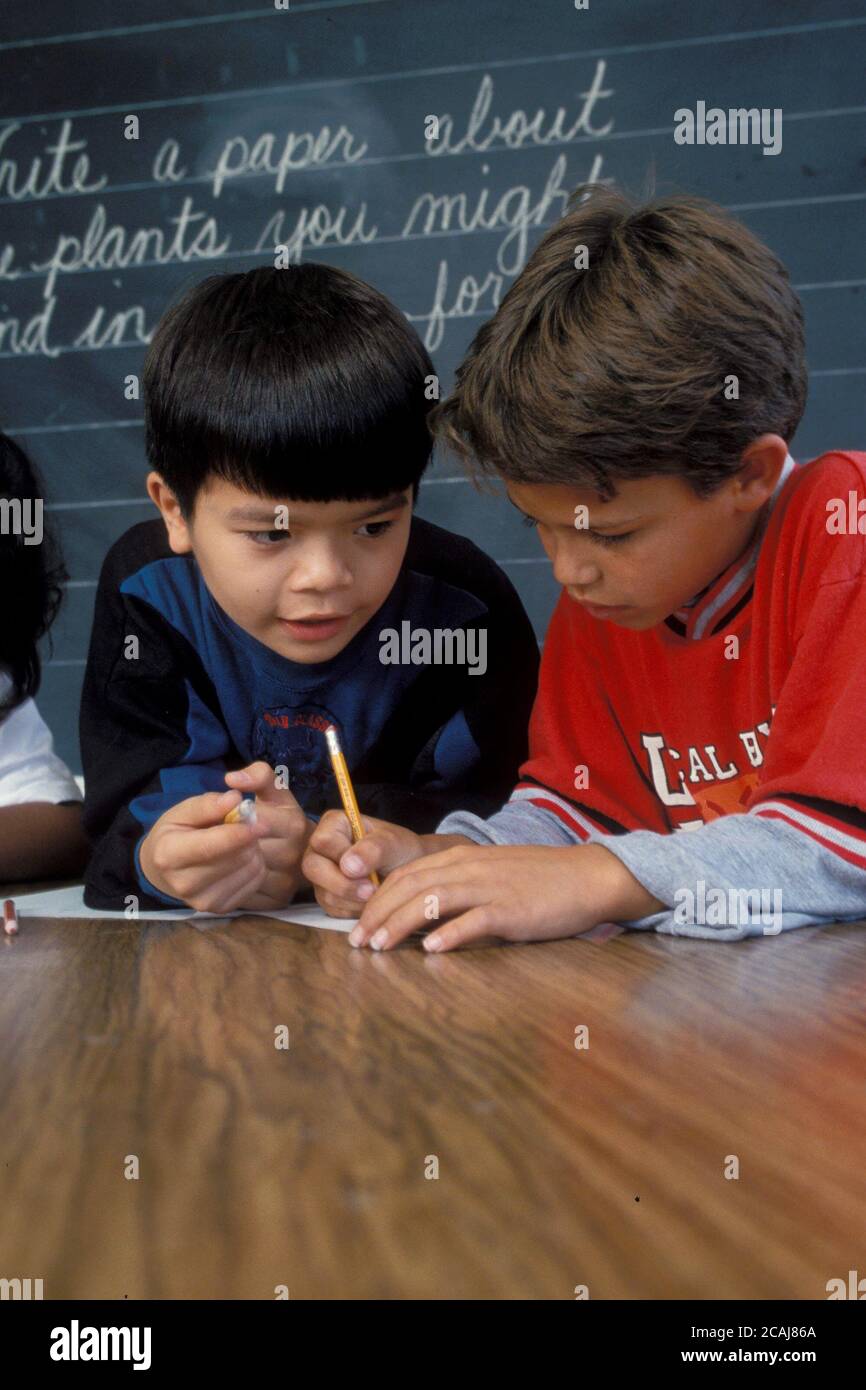 Asian-American and Anglo elementary school boys writing essay together ...