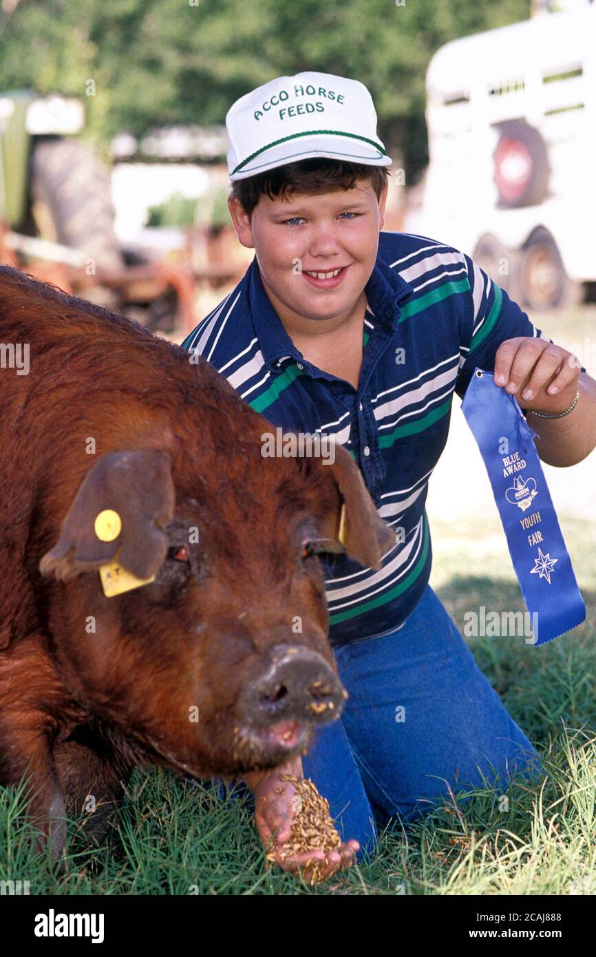 1st prize animal show hi-res stock photography and images - Alamy