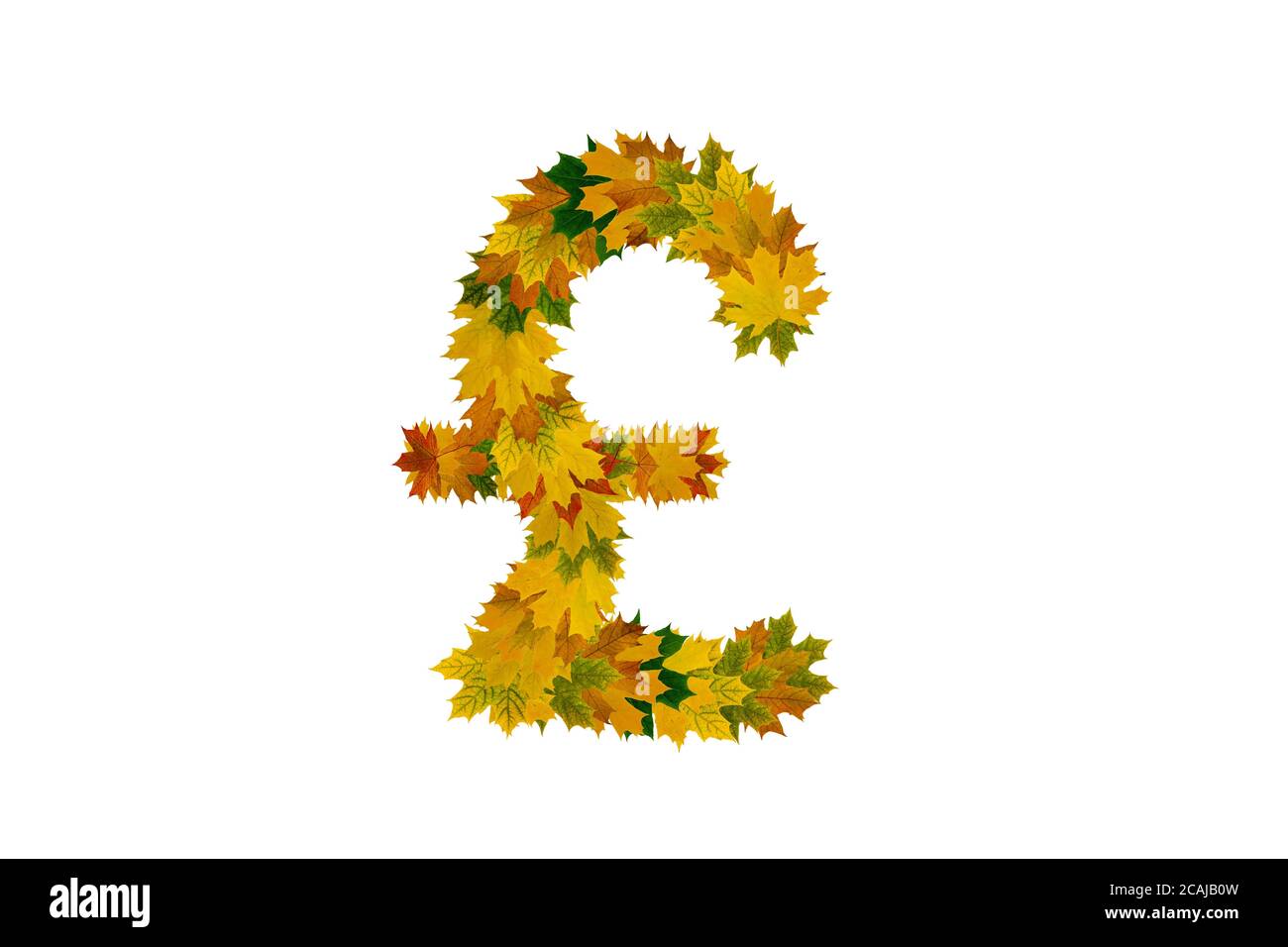 Pound sign from green, yellow and orange autumn maple leaves isolated ...