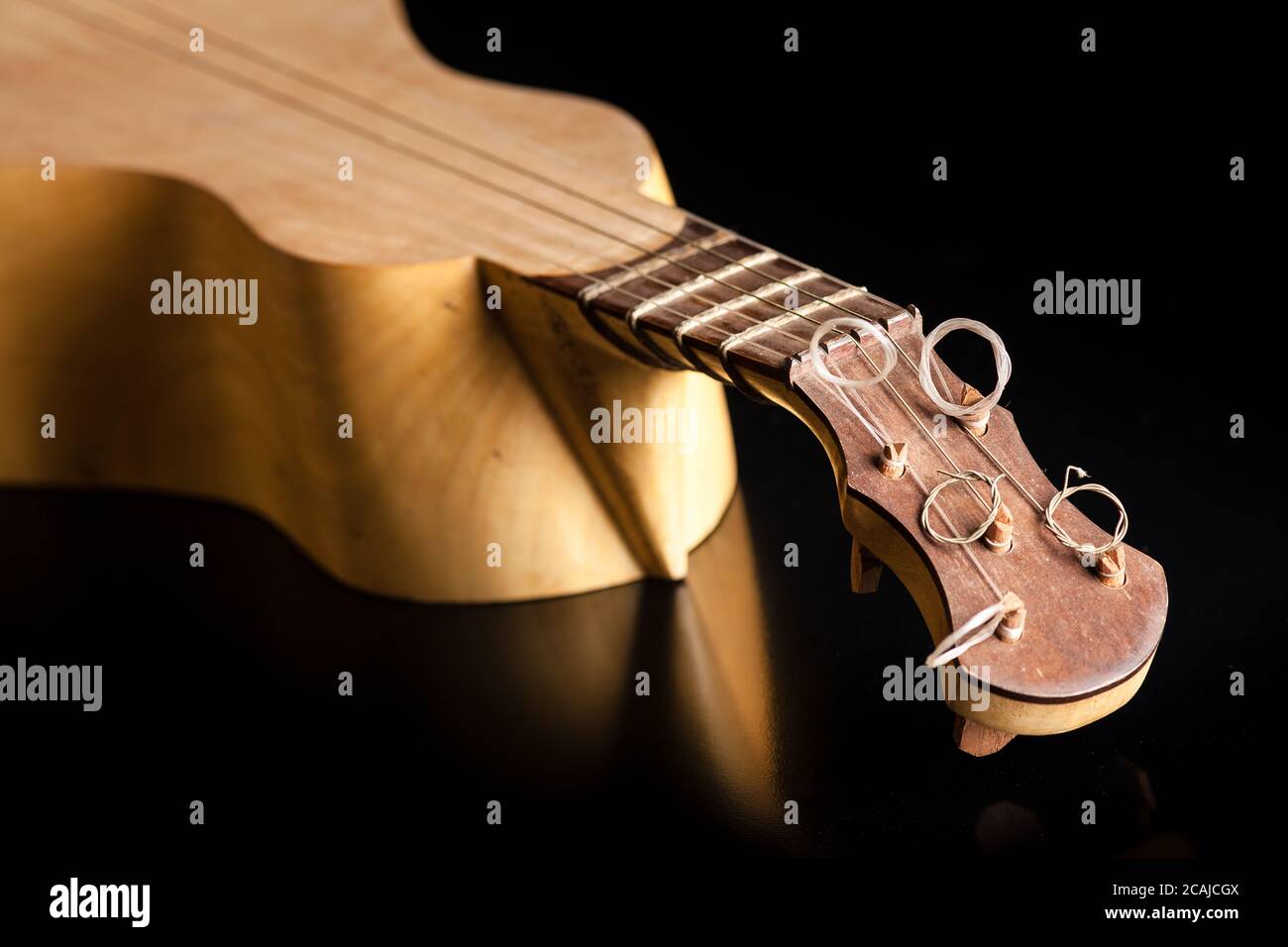 Viola de Cocho - Brazilian typical instrument, National Heritage of ...