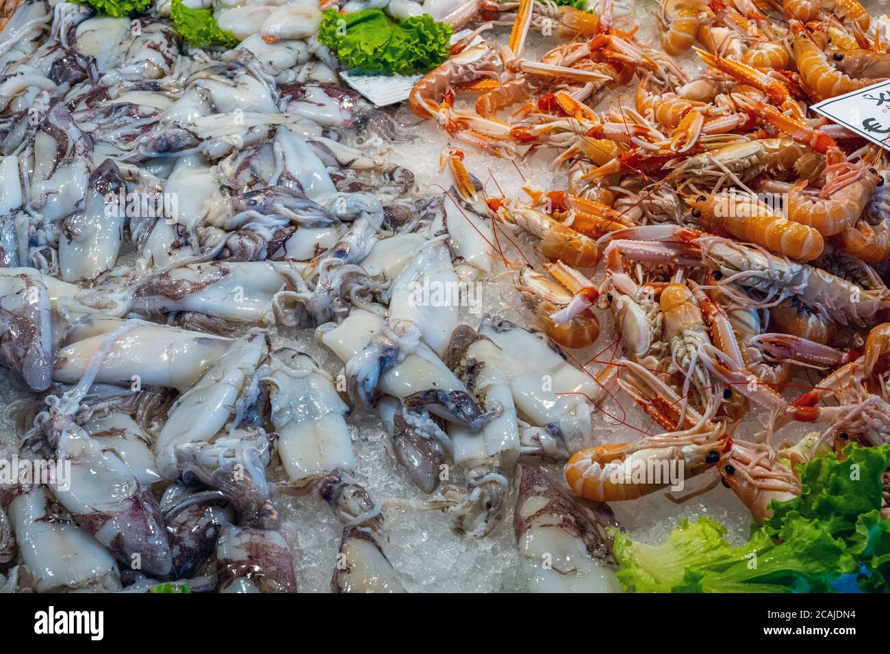 Squid and prawns for sale at the Rialto market in Venice Stock Photo ...