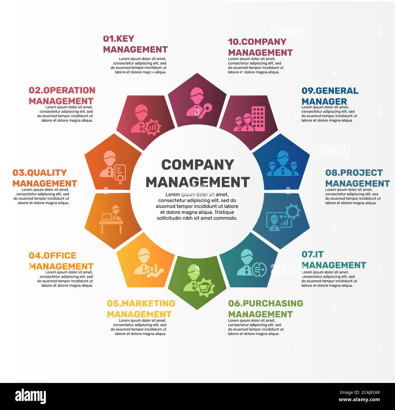 Infographic Company Management template. Icons in different colors ...
