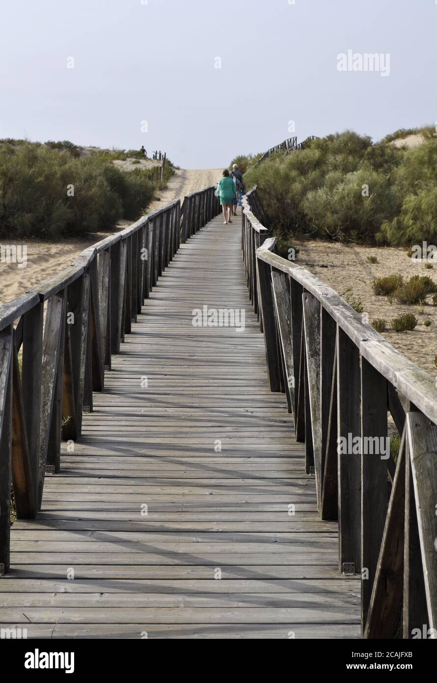 Vertical shot of people walking on a board trail in the middle of a ...