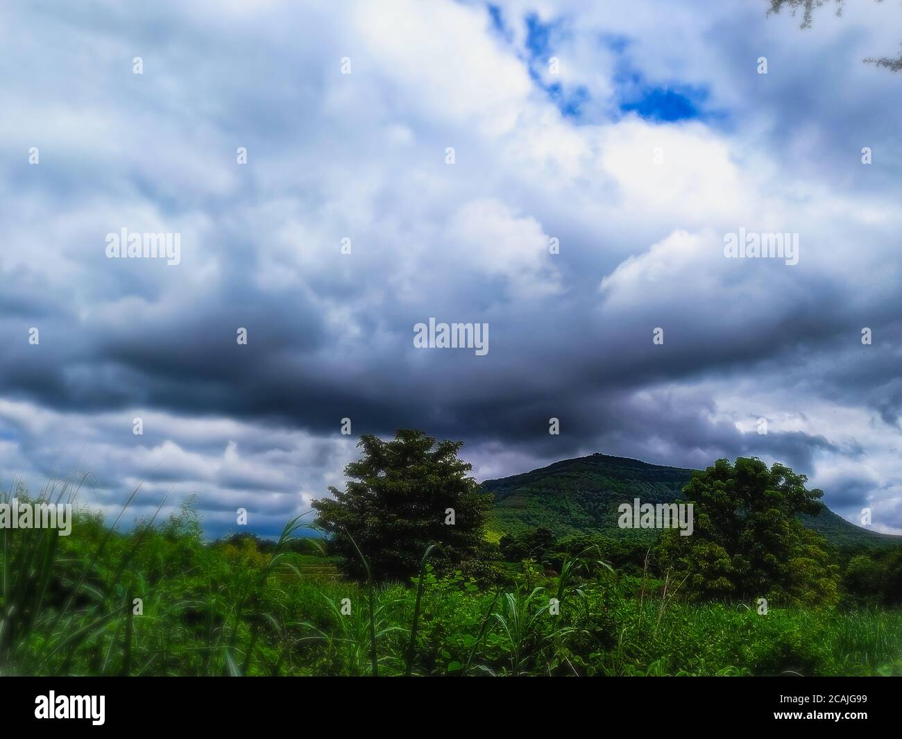 Clouds in sky wind tree of horizon beautiful scapes Stock Photo - Alamy