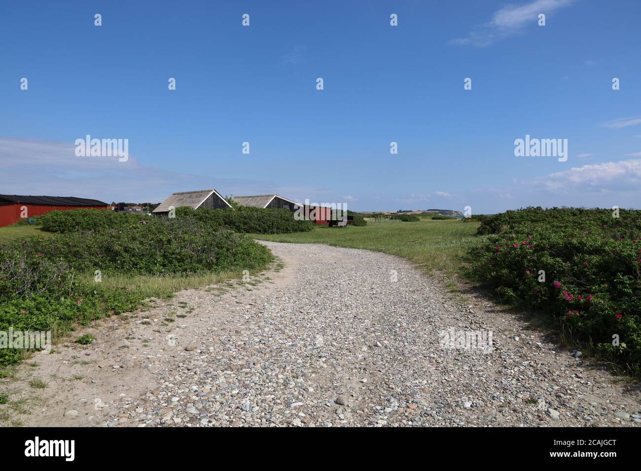 Road in a field covered in greenery surrounded by buildings in Drejet ...