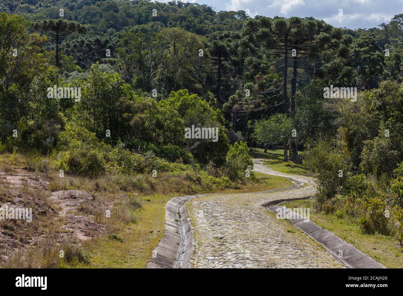 Stone pathway at the Guartela State Park - Tibagi, PR - Brazil Stock ...