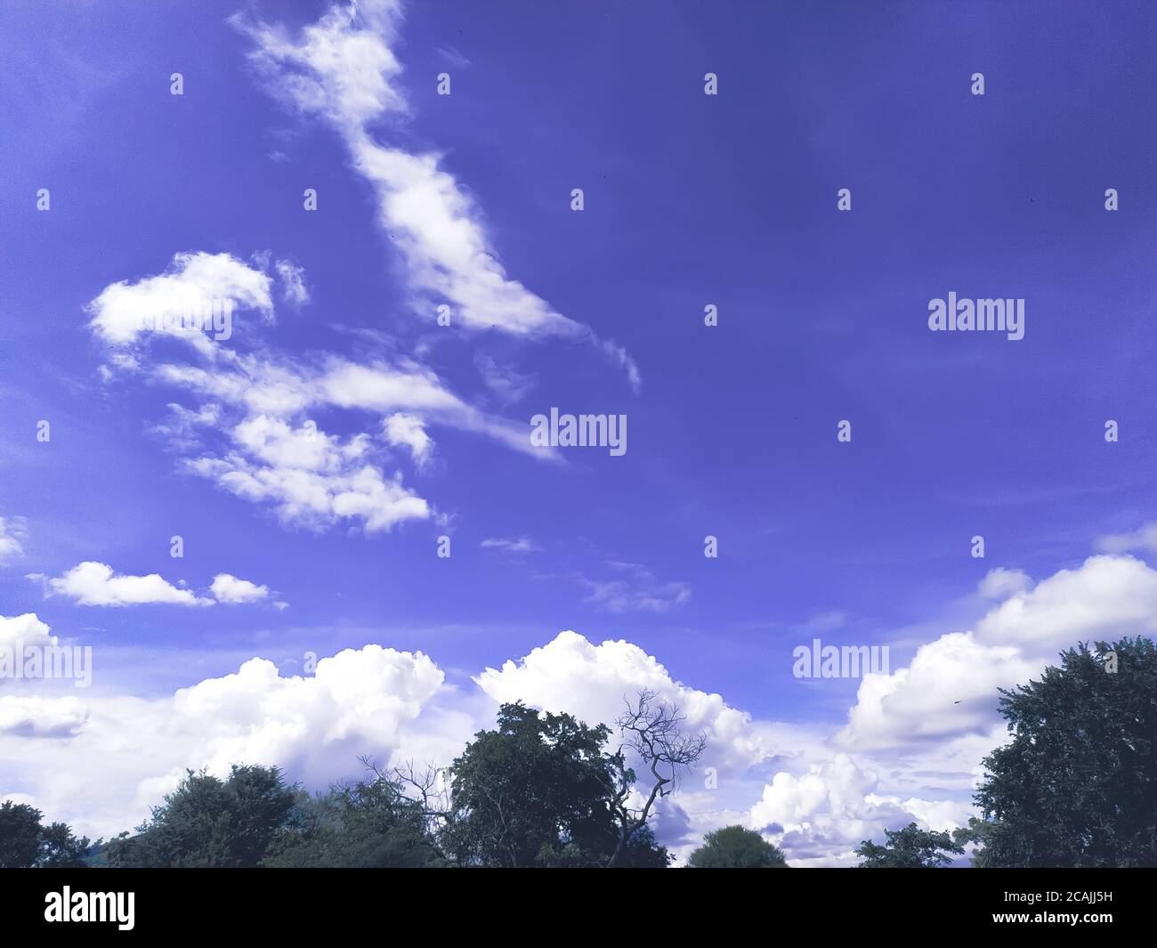 Clouds in sky wind tree of horizon beautiful scapes Stock Photo - Alamy