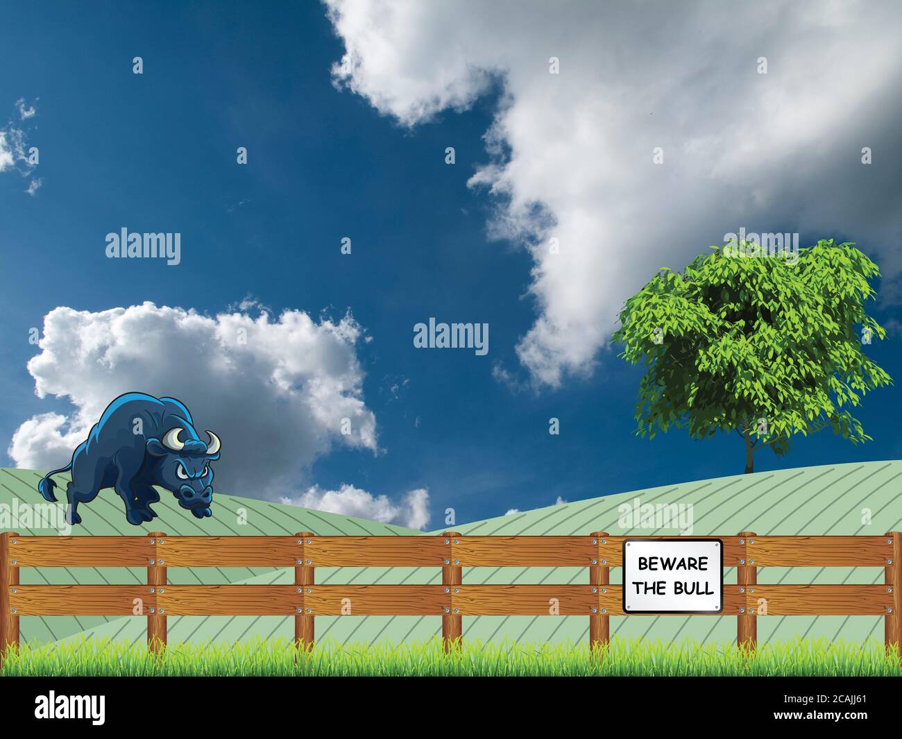 Beware the bull sign on wooden fence with angry looking bullock in ...