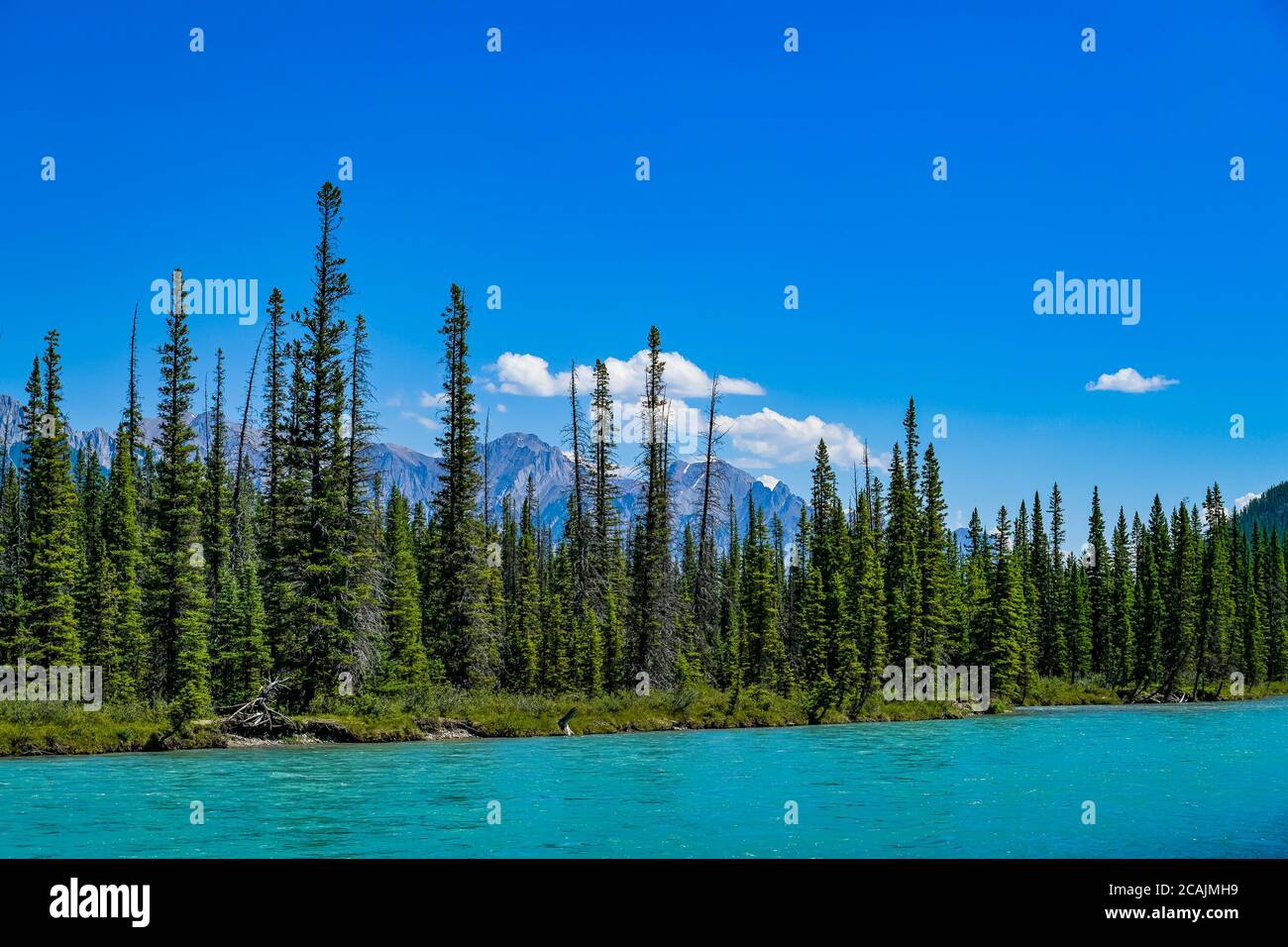 Bow River, Banff National Park, Alberta, Canada Stock Photo - Alamy