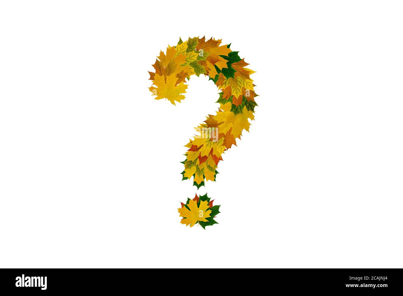 Question mark from autumn maple leaves isolated on white background ...