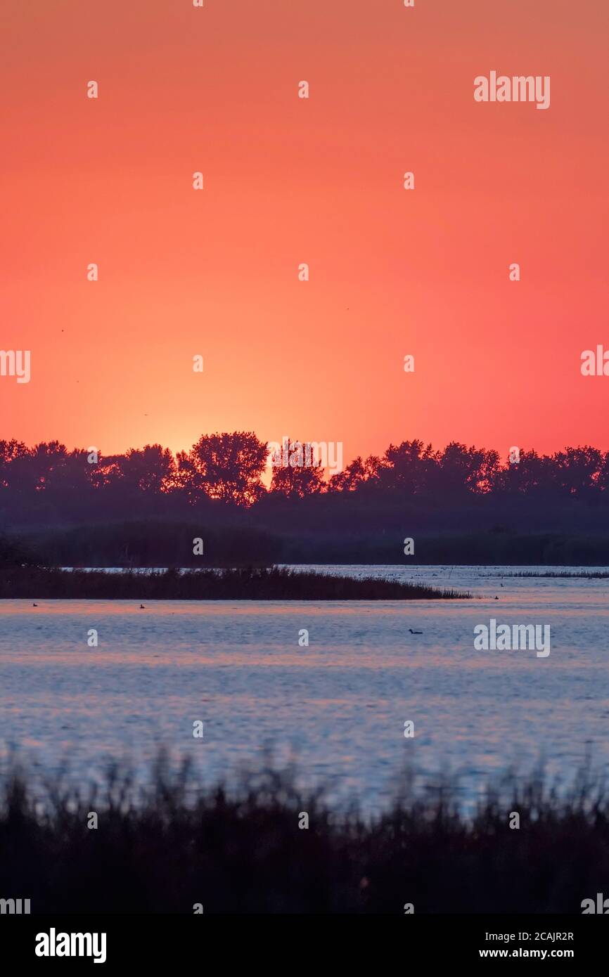 Sunset Scene over Lake, Water Surface Sunset Stock Photo - Alamy