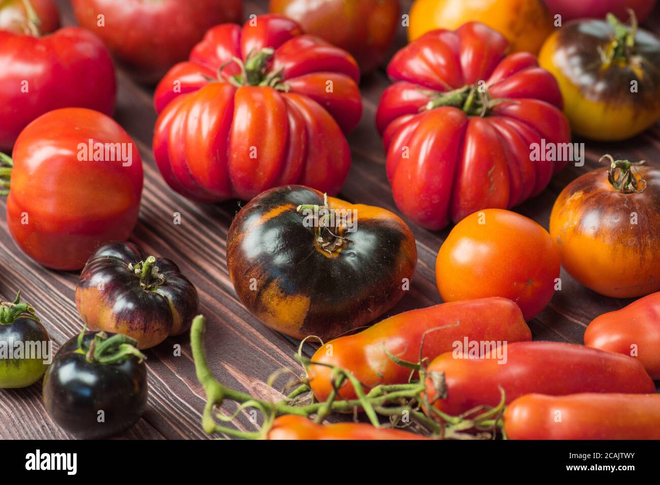 The harvest of assorted tomatoes. Beautiful ripe different varieties ...