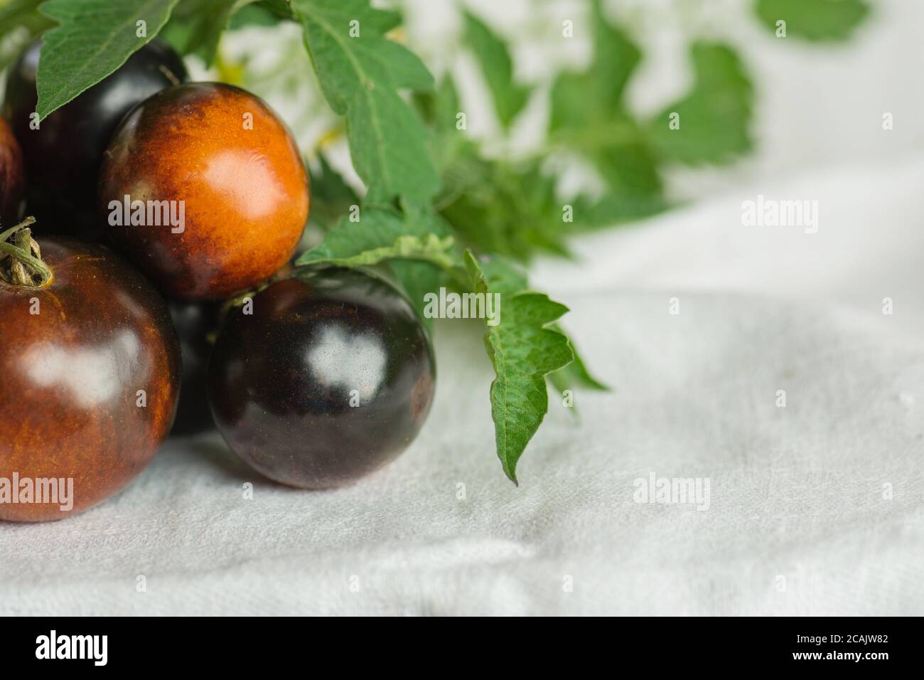 Bosque blue tomatoes hi-res stock photography and images - Alamy