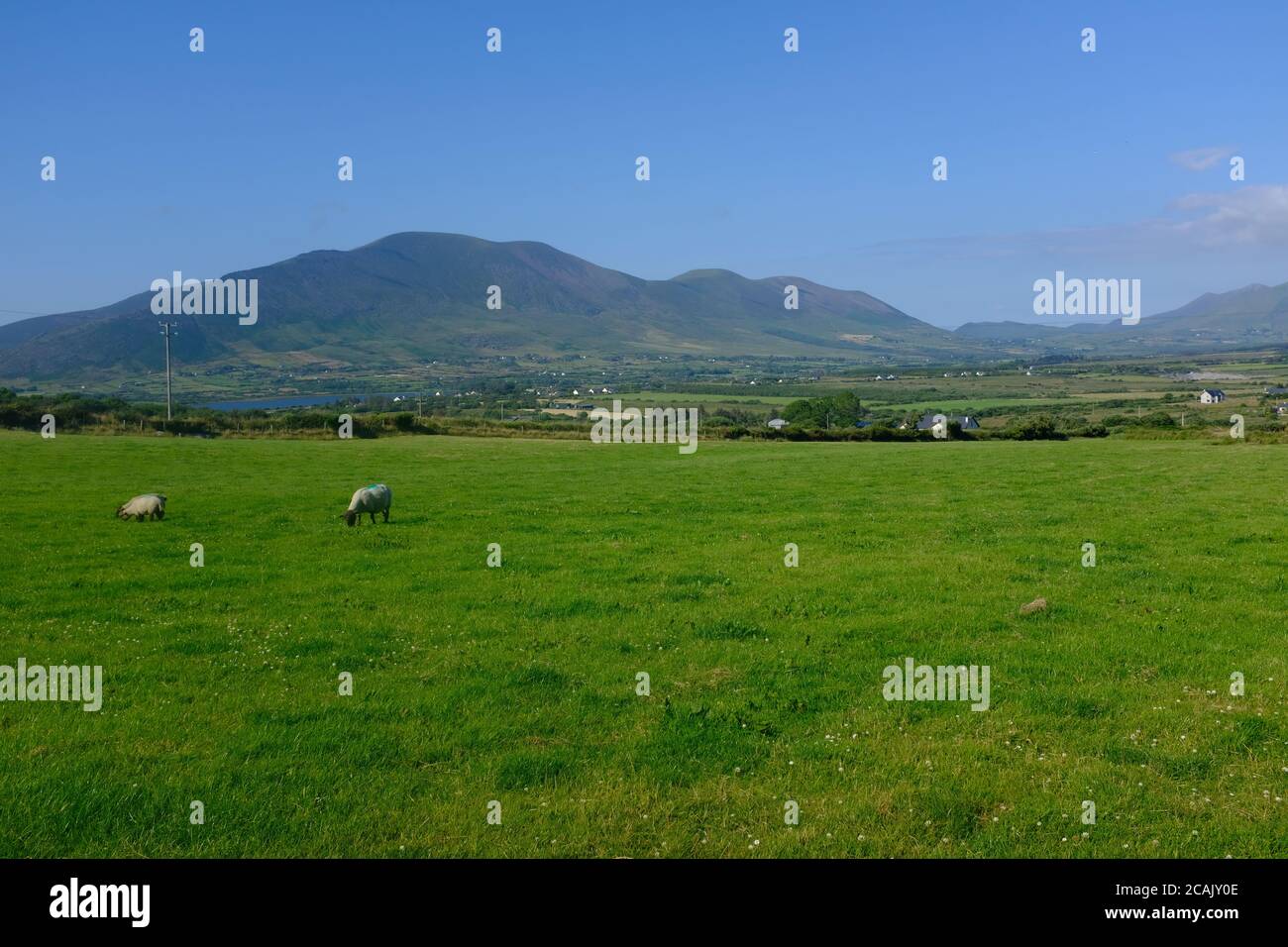 Walking the Kerry Way in 2019 in count Kerry in the south of Ireland ...
