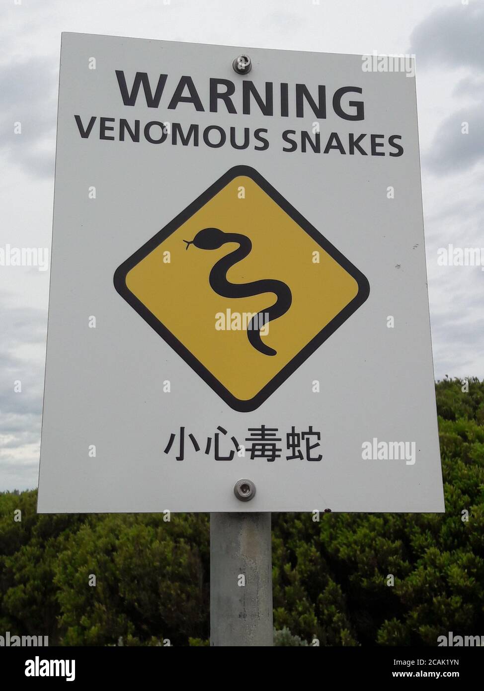 Venomous snakes hi-res stock photography and images - Alamy
