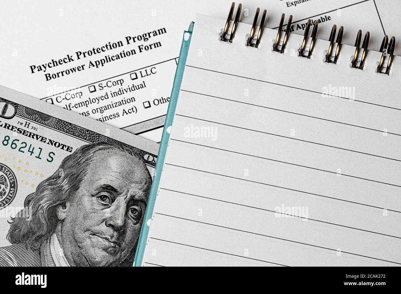 paycheck protection program. borrower application form. limited depth ...