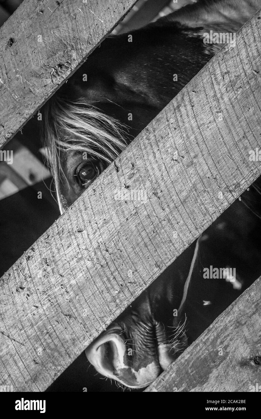 Cold house inside Black and White Stock Photos & Images - Alamy