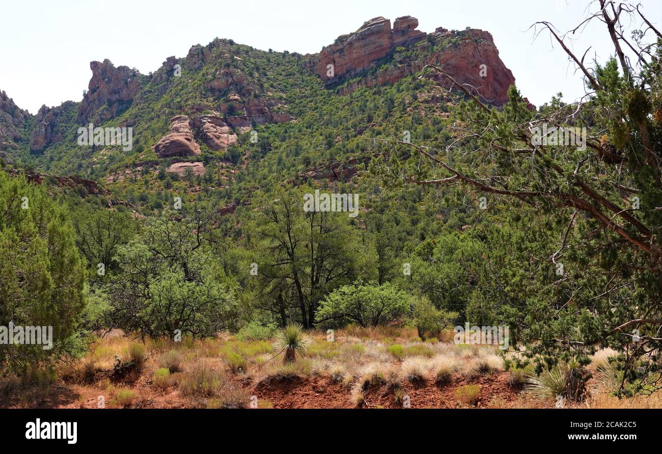 Exploring the different trails and back roads around Sedona Arizona can ...