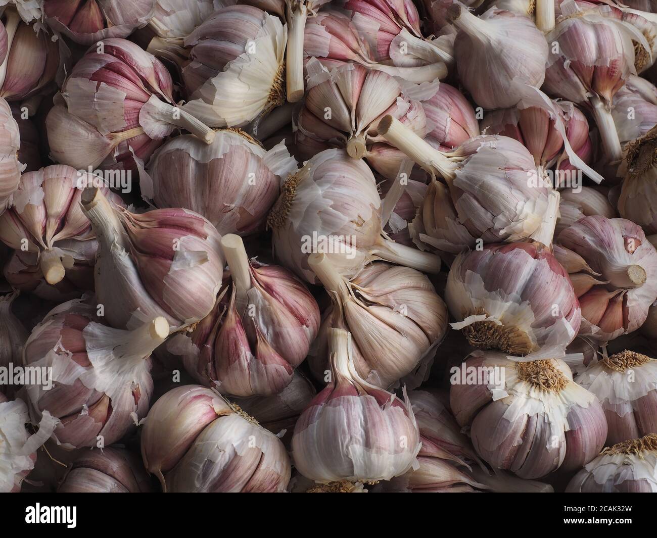Round delicious garlic, a lot as a background Stock Photo - Alamy
