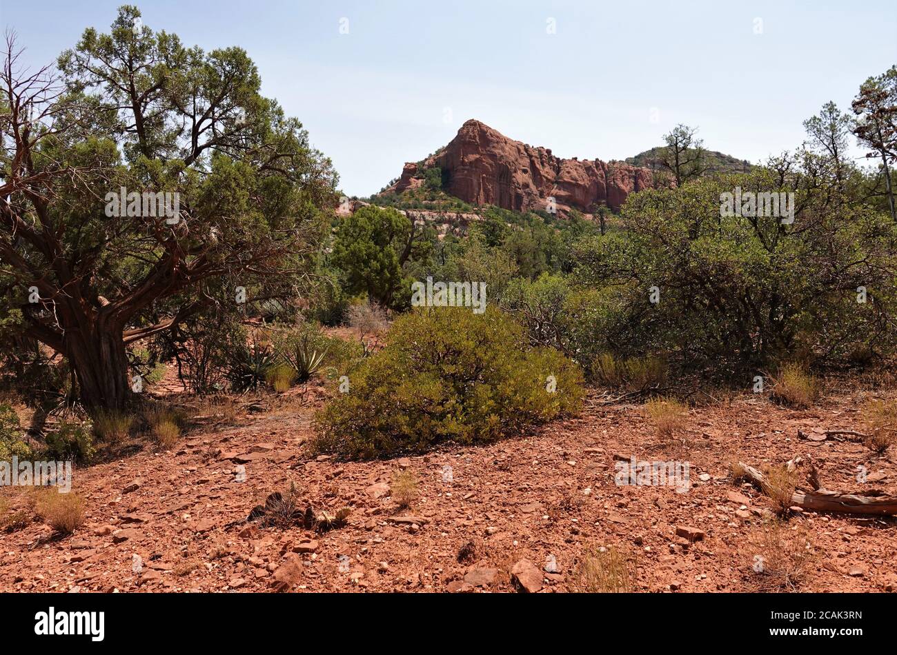Exploring the different trails and back roads around Sedona Arizona can ...