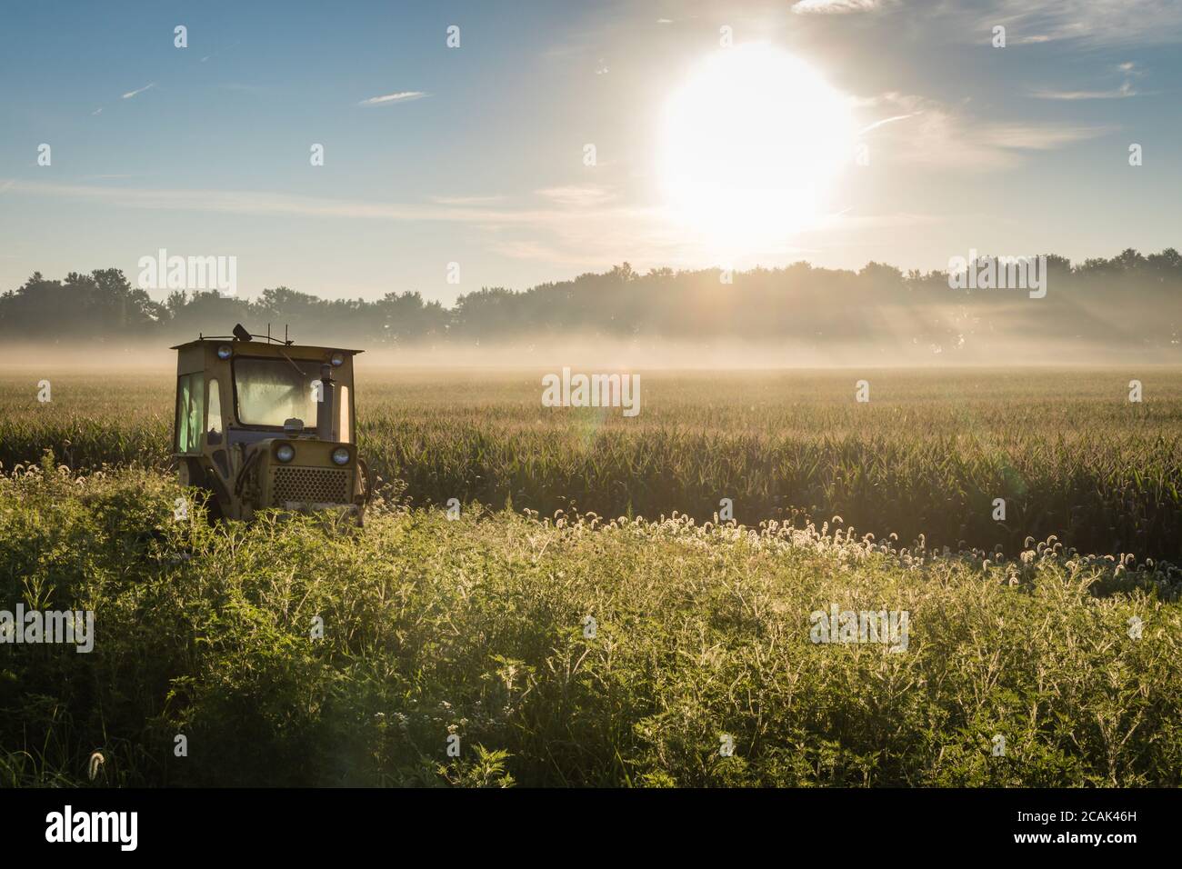 Old Vintage farm tractor in field on a bright summer morning Stock ...