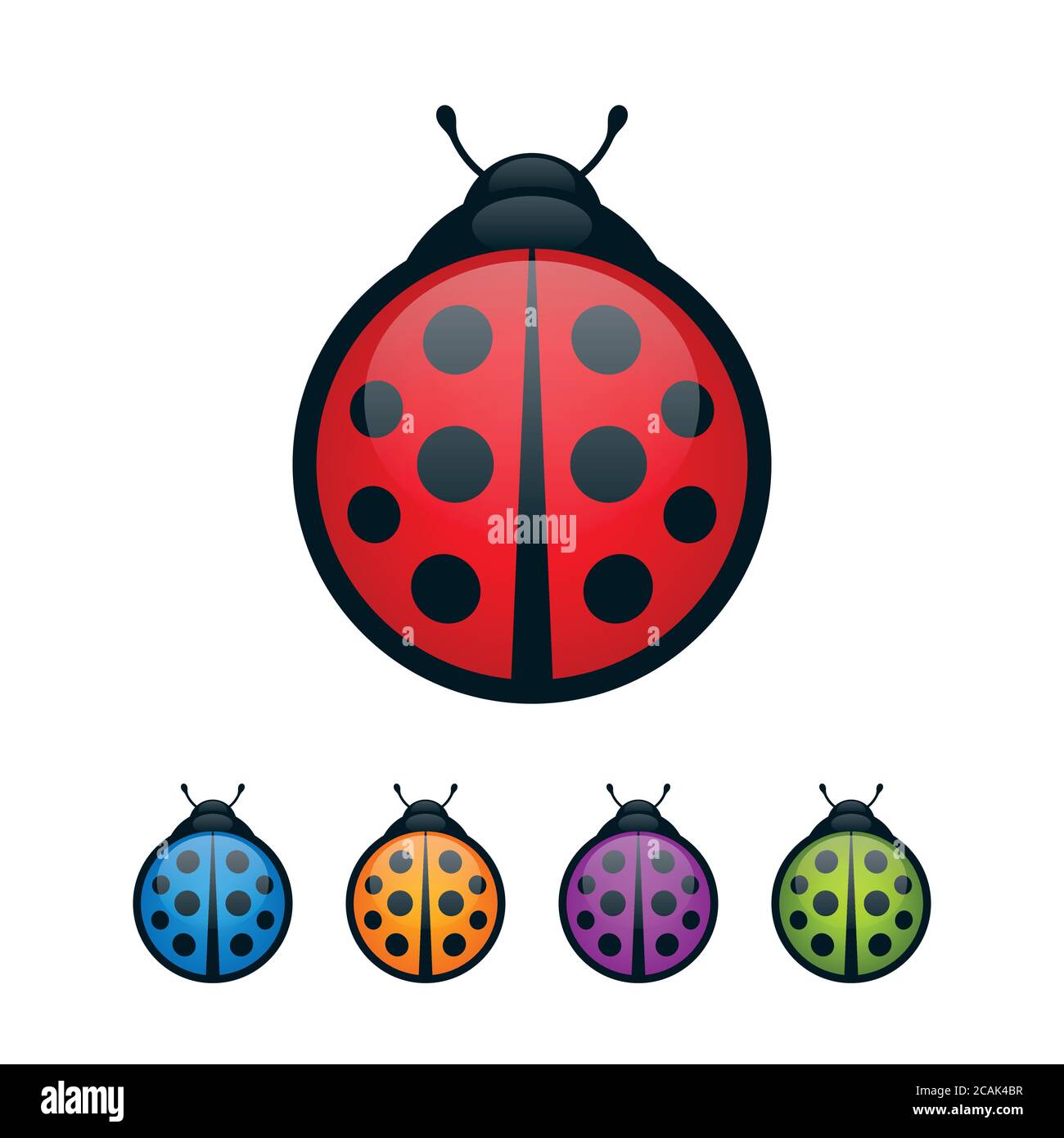 Colorful Ladybugs