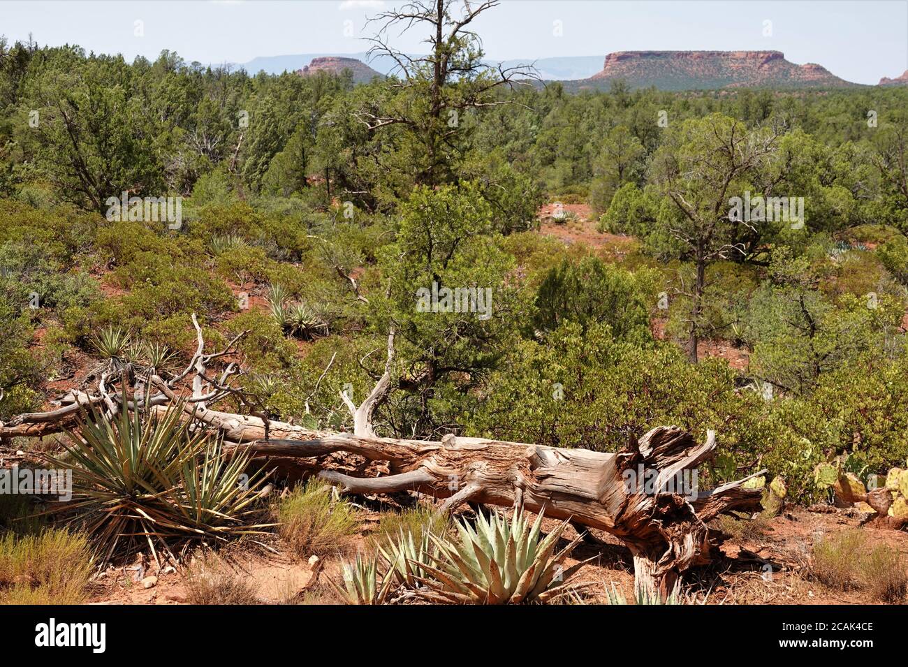 Exploring the different trails and back roads around Sedona Arizona can ...