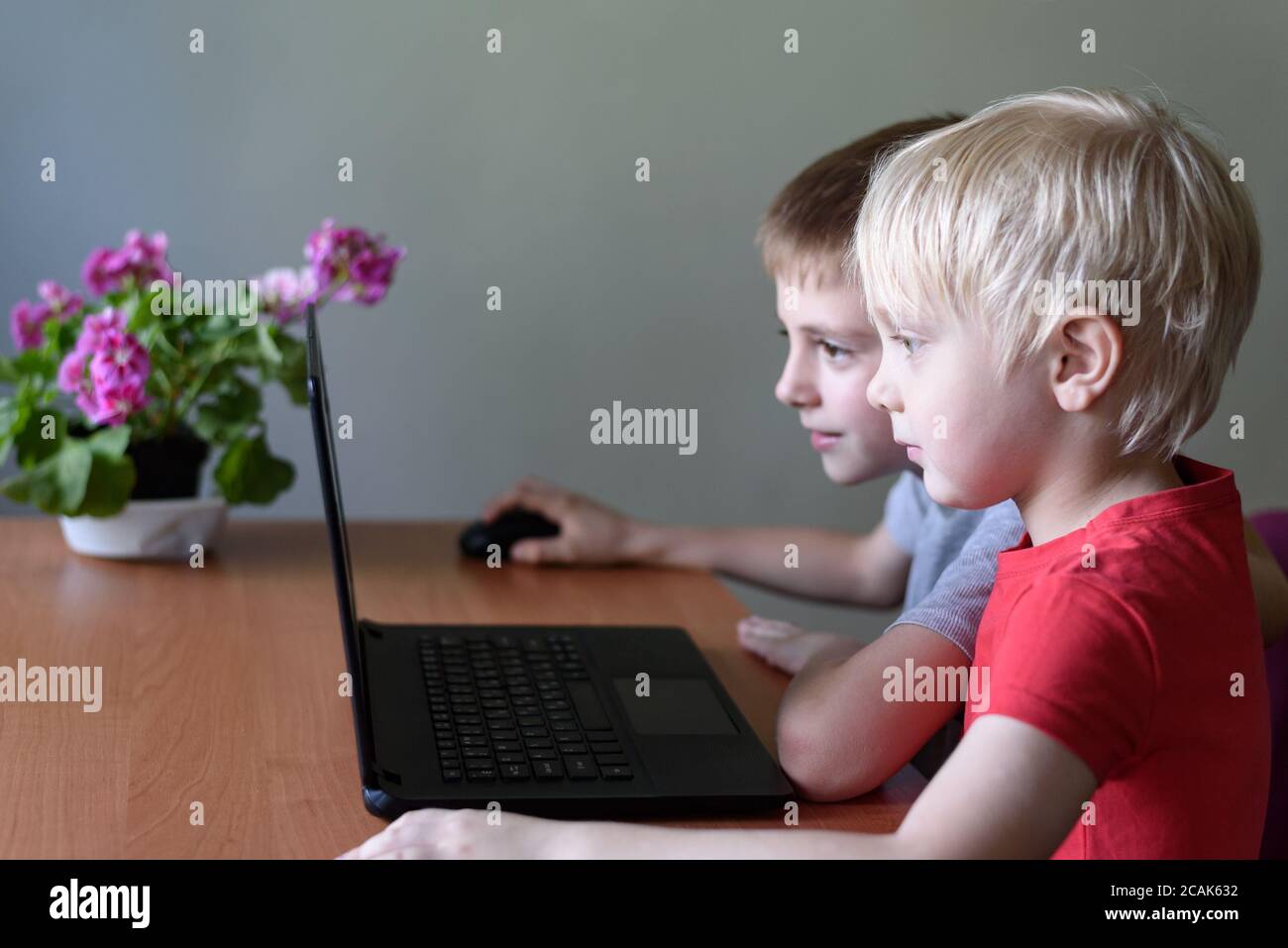Two children use a laptop. Home schooling, leisure Stock Photo - Alamy