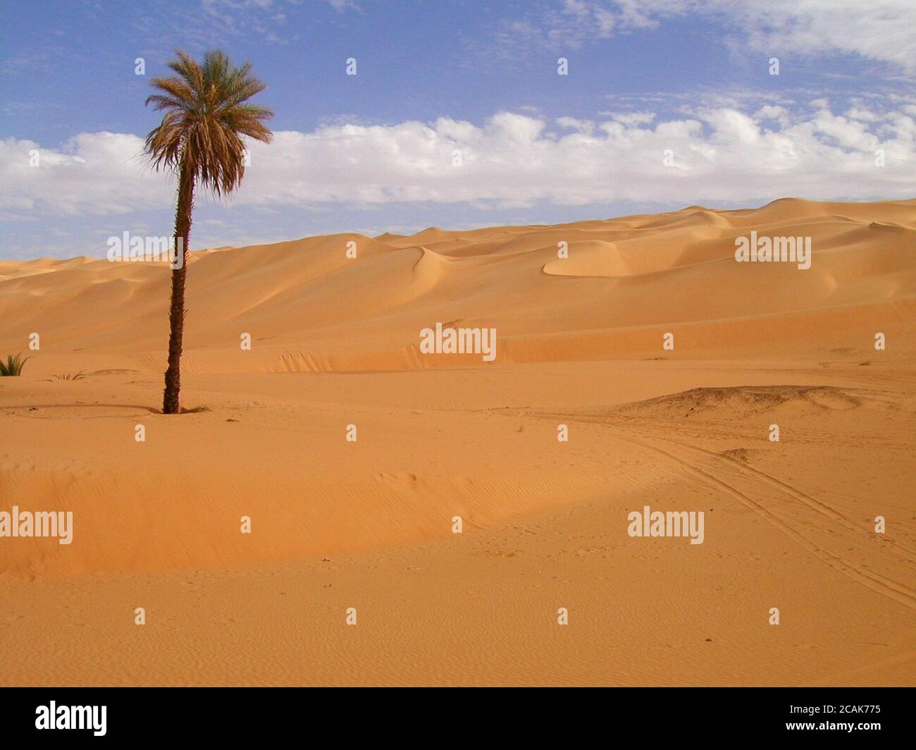 Sebha hi-res stock photography and images - Alamy