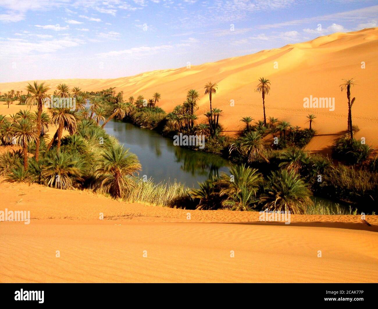 SAHARA DESERT NEAR SEBHA IN LIBYA. SAFARI AND ADVENTURE IN LIBYA. SAND ...