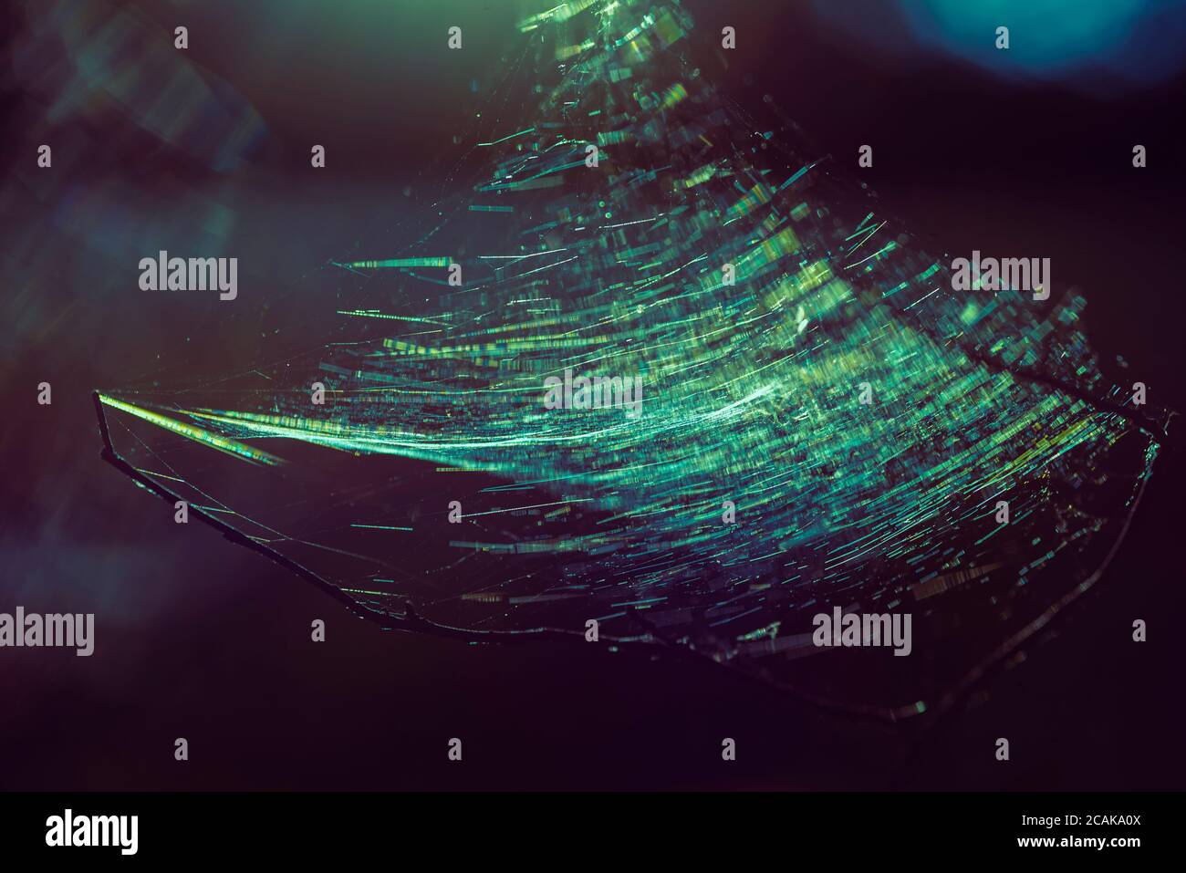 Abstract spider photography, colorful, dust inclusions in the lens, out ...