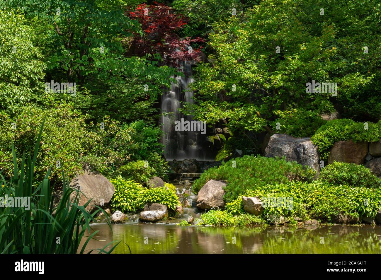 Anderson japanese garden hi-res stock photography and images - Alamy
