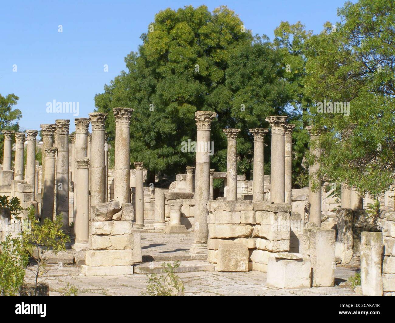 Makthar Tunisia High Resolution Stock Photography and Images - Alamy