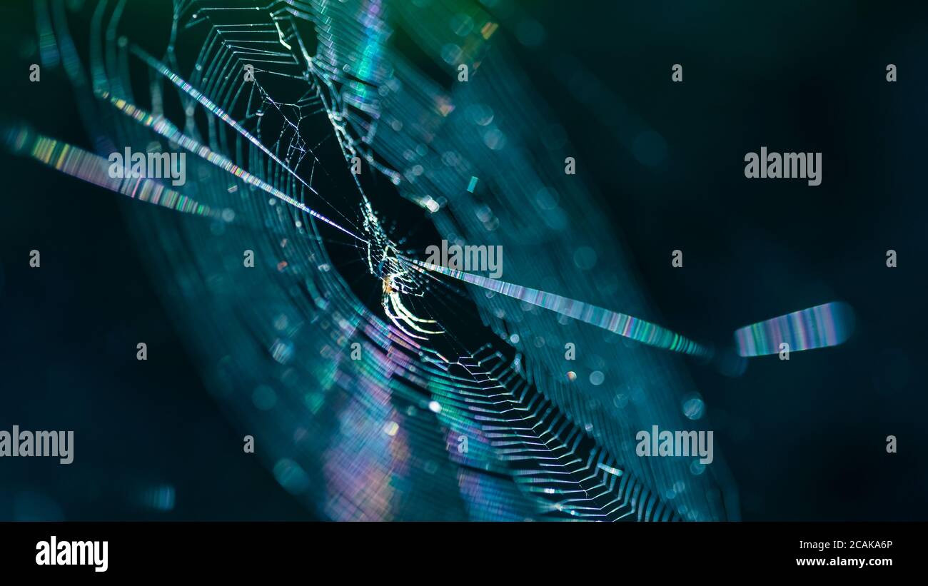 Abstract spider photography, colorful, dust inclusions in the lens, out ...