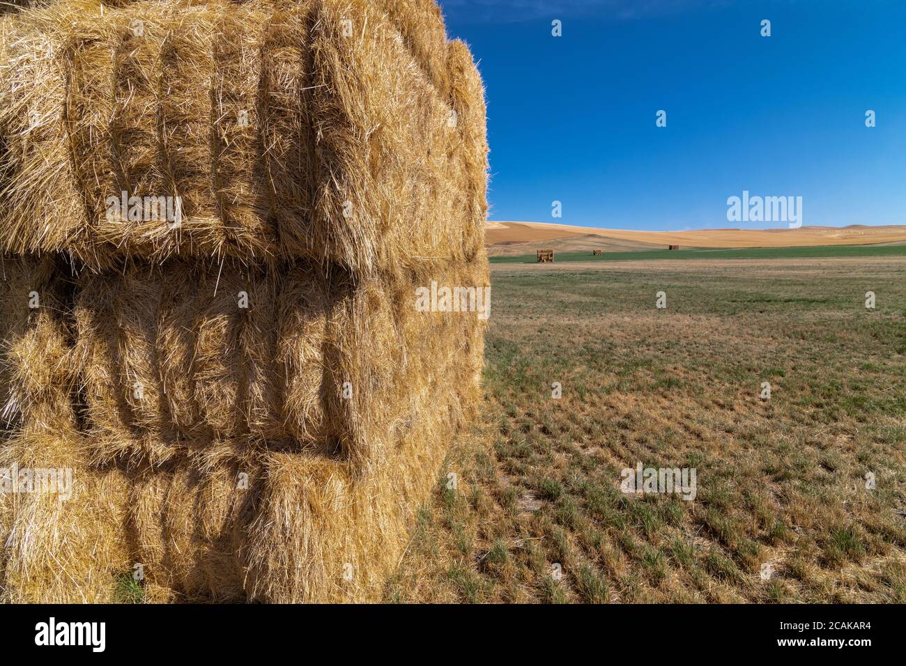 Waiting Hay Stacks in the Palouse in Fall, WA, USA Stock Photo - Alamy
