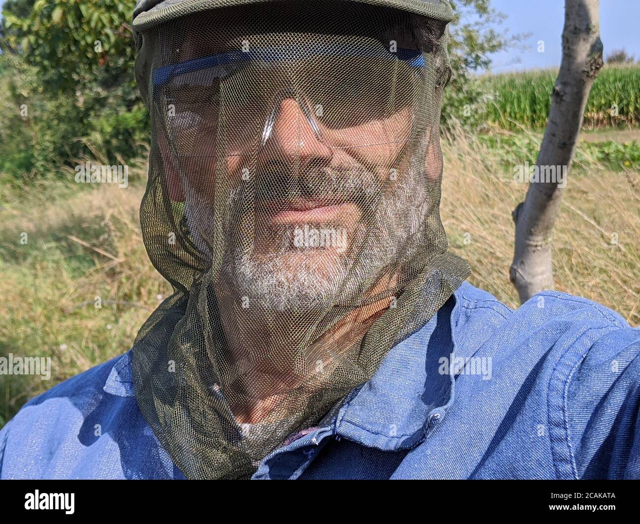 Mosquito bite face hi-res stock photography and images - Alamy