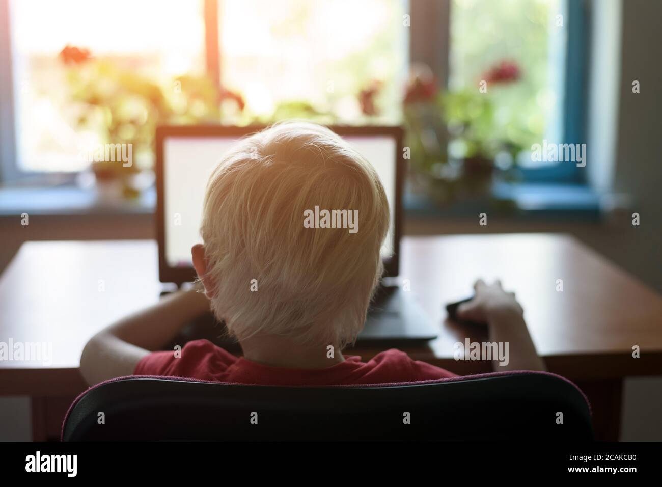 Small blond boy sitting at a laptop. Back view Stock Photo - Alamy