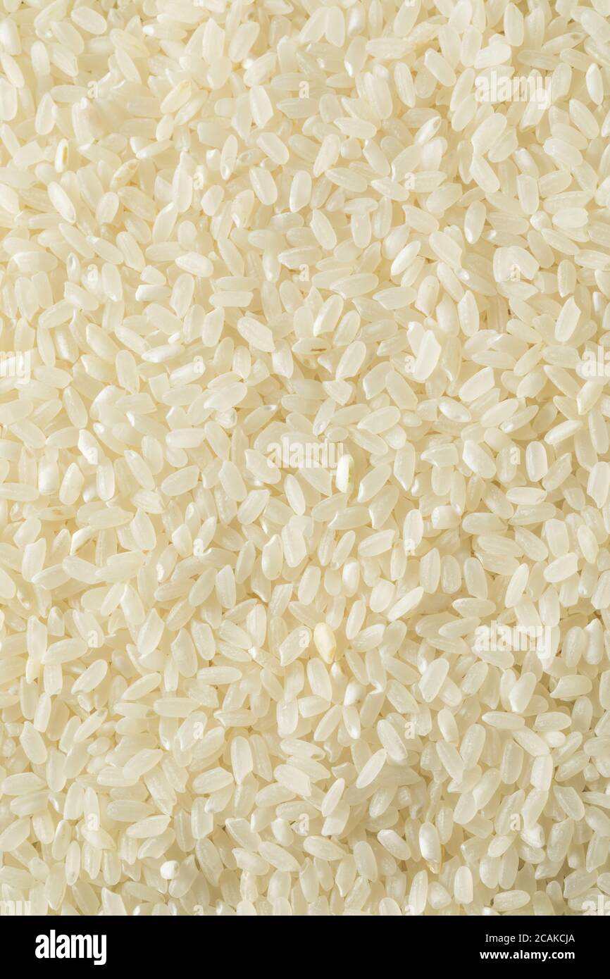 Raw Dry Organic Short Grain White Rice in a Bowl Stock Photo - Alamy